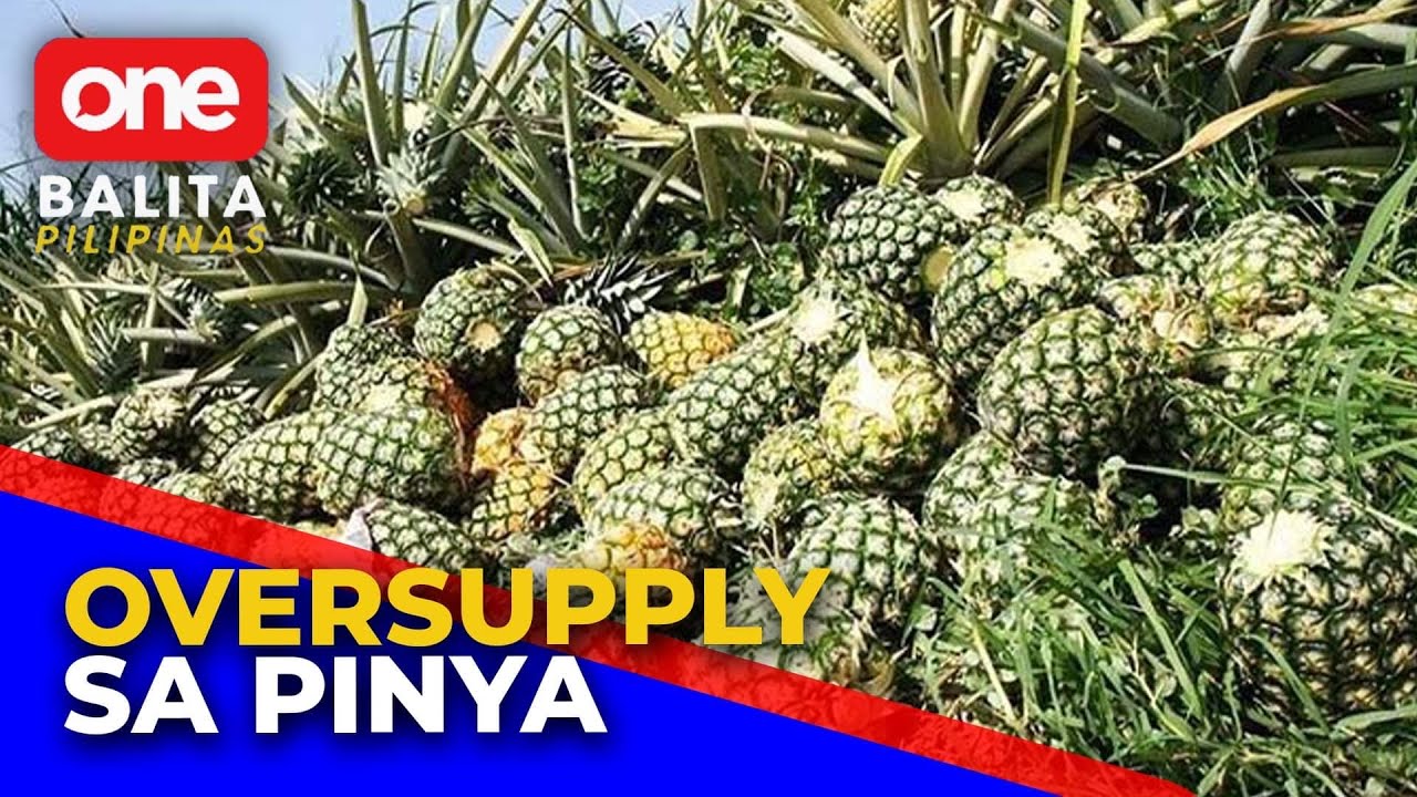 Ibang pinya sa Cavite, itinatapon na lang dahil sa oversupply - YouTube