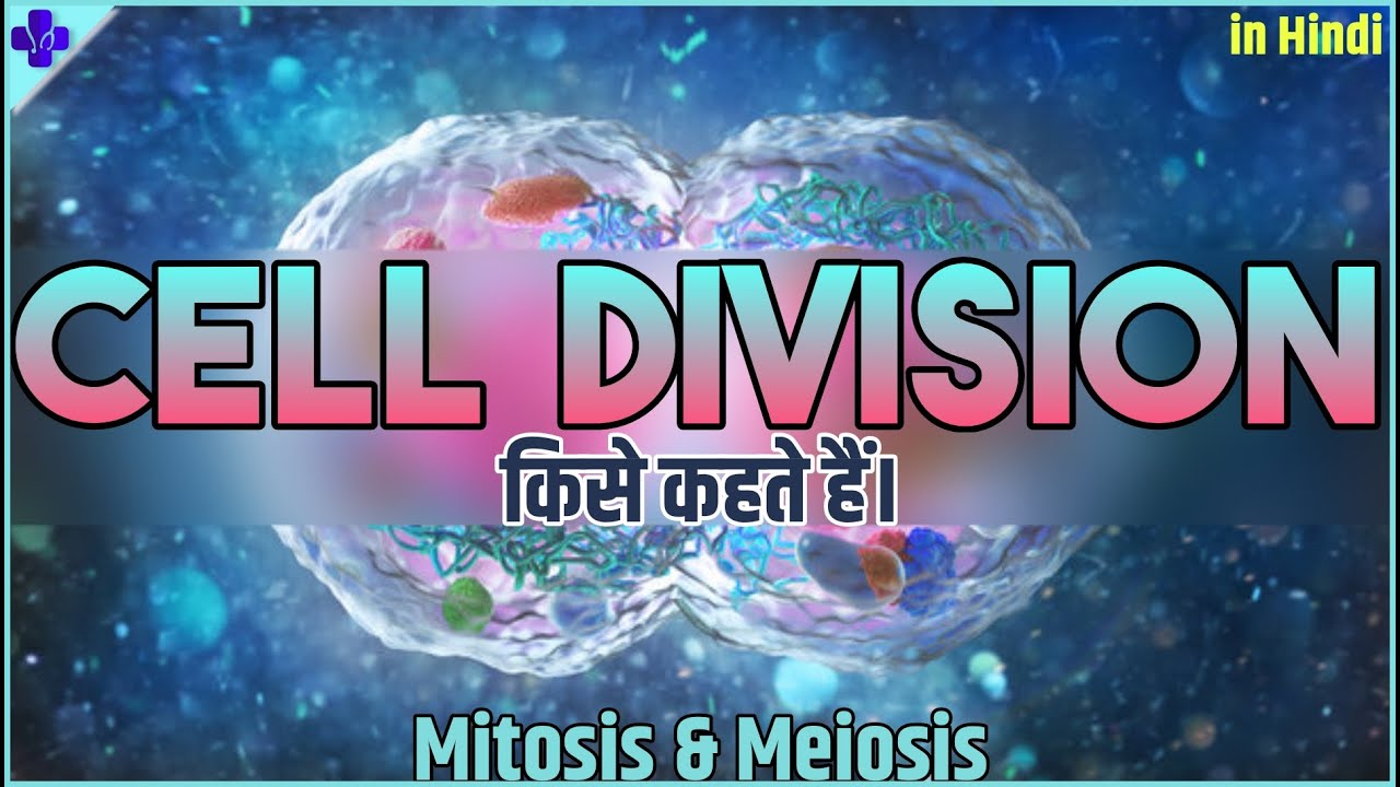 what-is-cell-division-mitosis-meiosis-in-hindi-cell-division