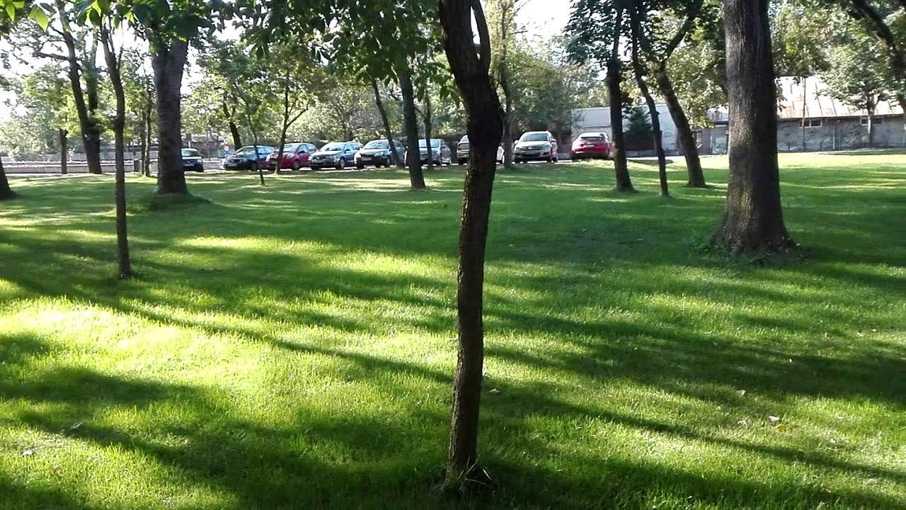 Parcul Central „Anton Scudier” Timisoara - YouTube