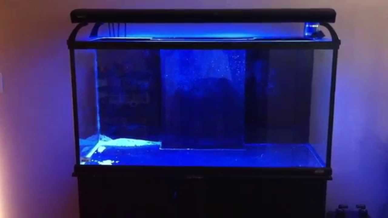 jmadden's Reef: 90G Tank Build Start - YouTube
