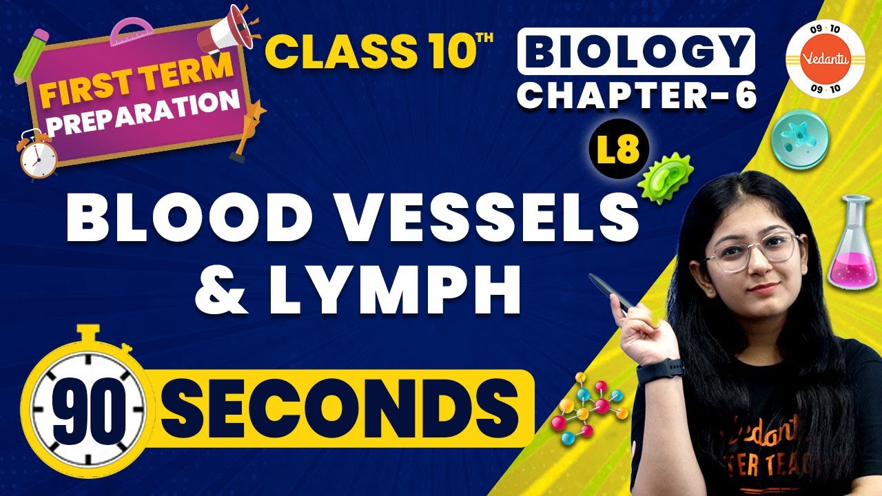 Blood Vessels and Lymph One Shot in 90 Seconds | Life Processes Class ...