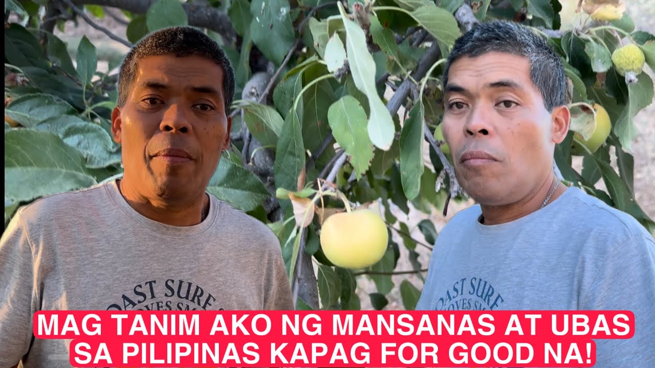 KAPAG NAG FOR GOOD AKO SA PILIPINAS GUSTO KO MAG TANIM NG UBAS AT ...