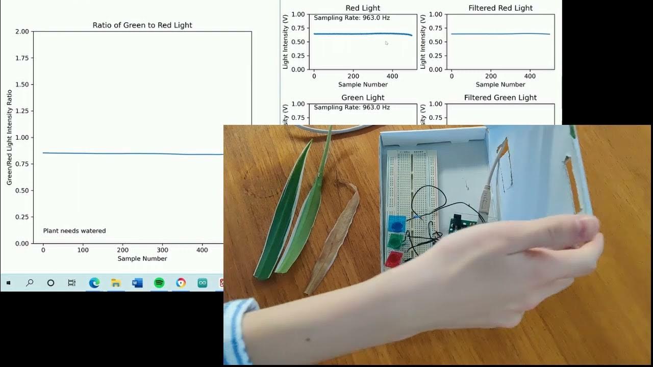 DSP Assignment 3: Realtime Assessment of Plant Health - YouTube