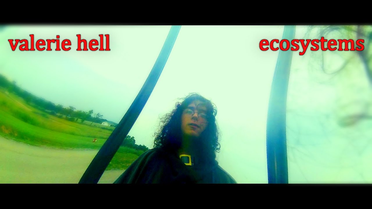 ecosystems - YouTube