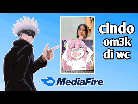 cindo gaes || gameplay wild runners