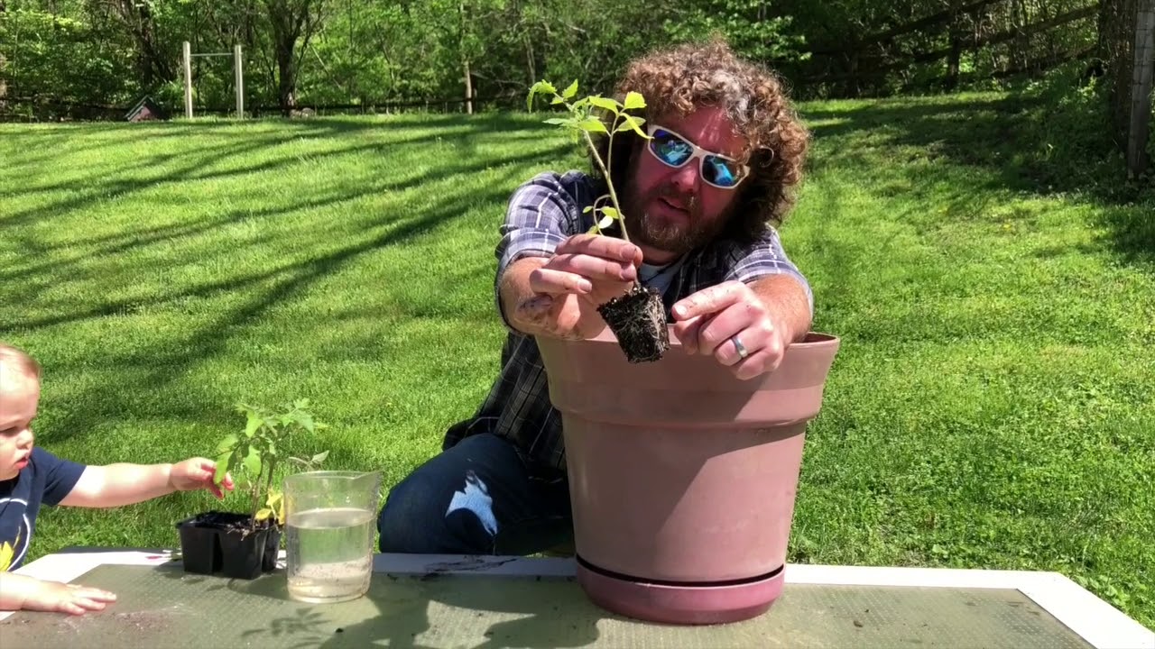 Dan Beard Council, BSA - Scouting At Home - Cub Scout Guided Activity ...