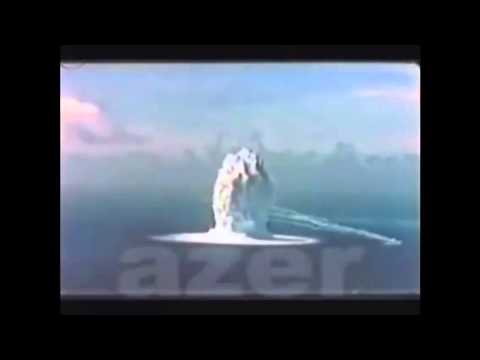 BEE MOVIE WTF BOOM 24