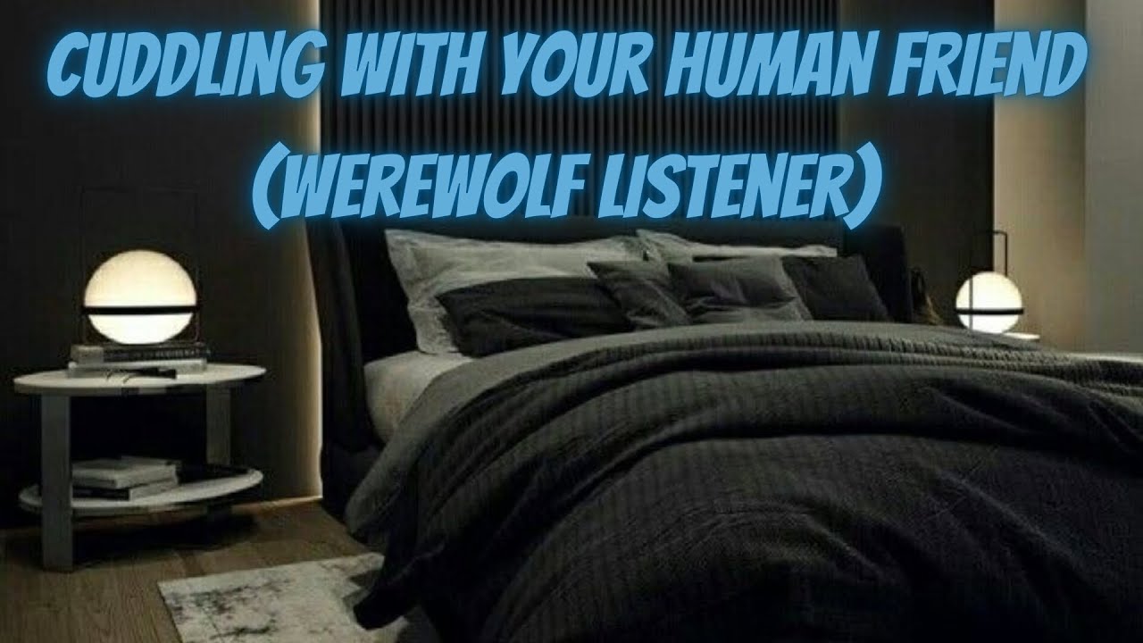 Cuddling with your human friend asmr (werewolf listener) (commission ...