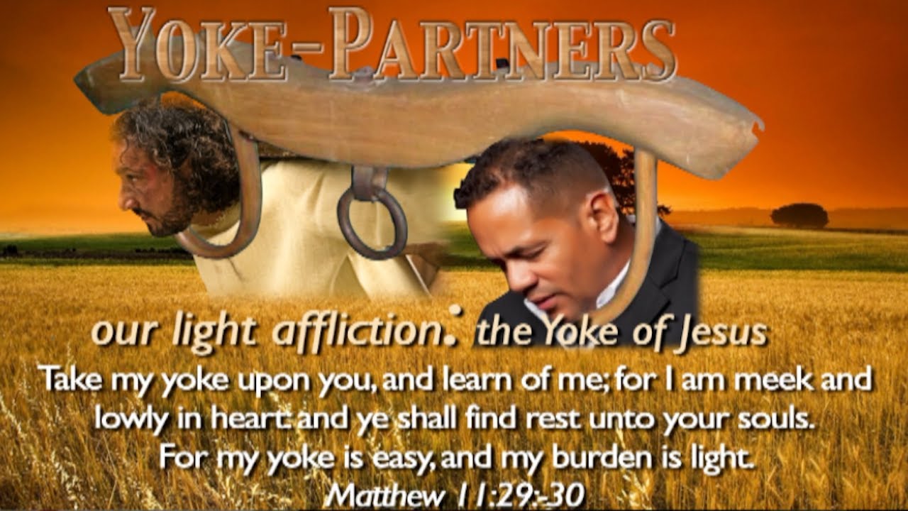 Yoke Partner - YouTube