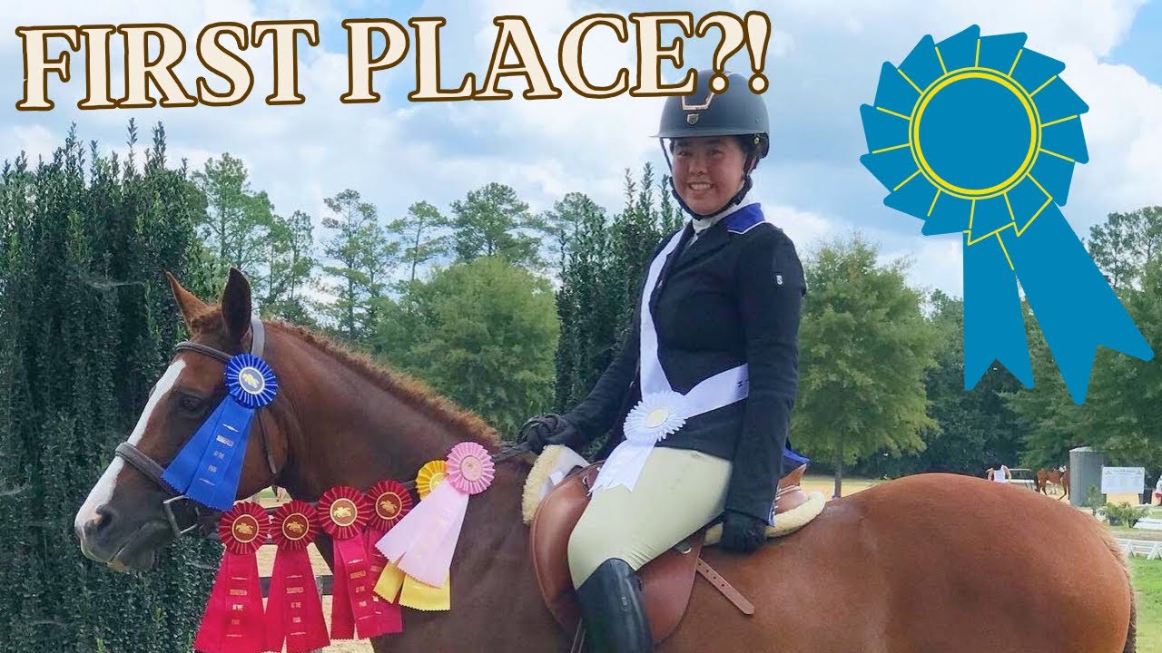 NEW Horse Show Venue! Large Ponies! || 3 Chestnuts and a Bay - YouTube