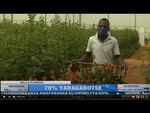 Bella Flowers imaze kwinjiriza u Rwanda miliyari zirenga 10 na miliyoni ...