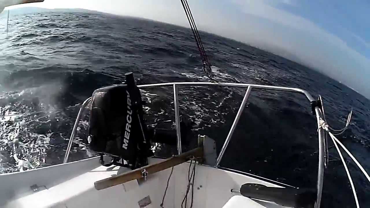 Edel 2 en équilibre! - YouTube