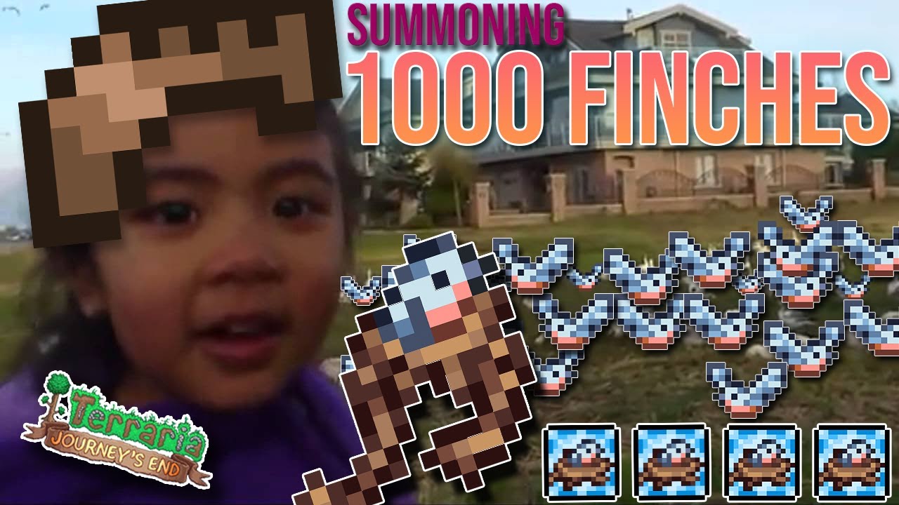 Summoning 1000 Finches in Terraria Journey's End | Wall of Finch vs ...