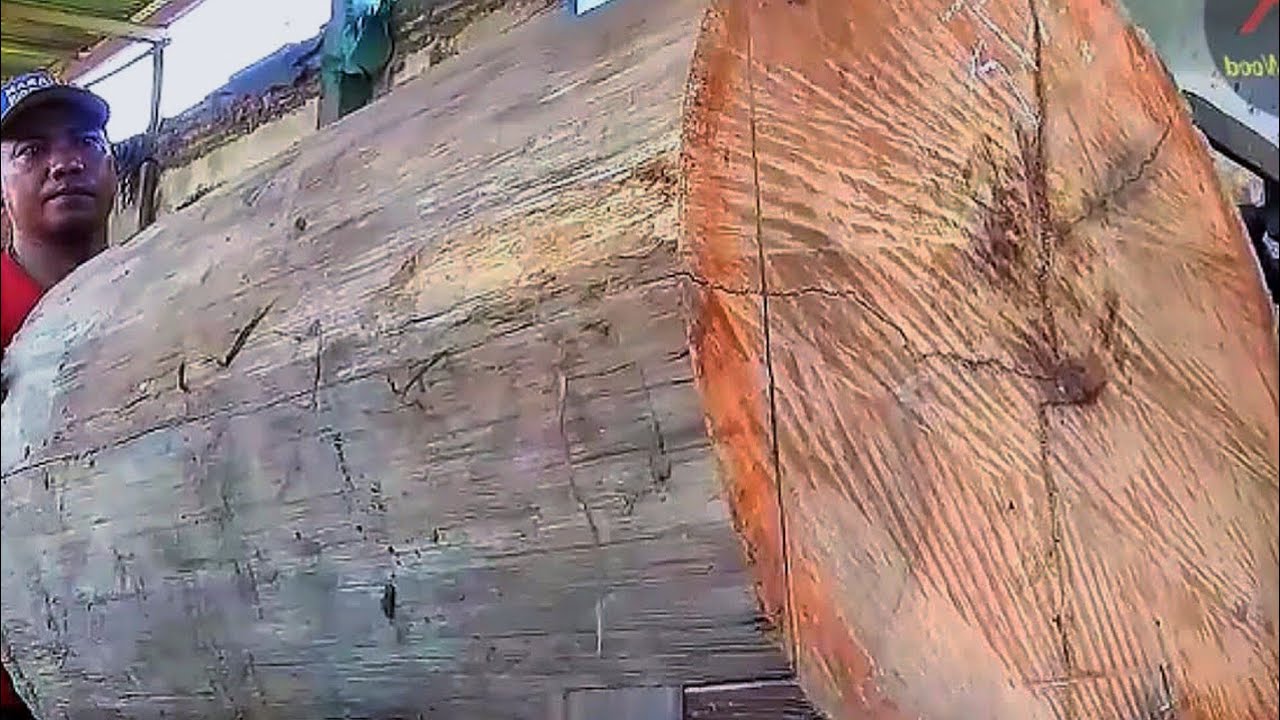 Mega Project Fails || Big Wood Destroys Everything - YouTube