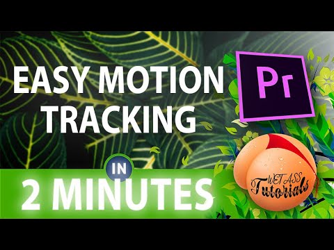 Easy Auto Motion Tracking In Premiere Pro - YouTube