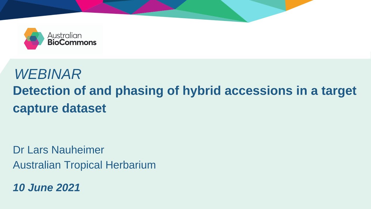 Detection of and phasing of hybrid accessions in a target capture ...