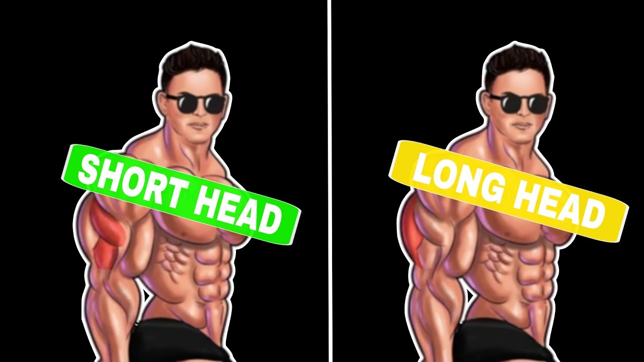 Tricep Extension Challenge: Long vs Short Head - YouTube