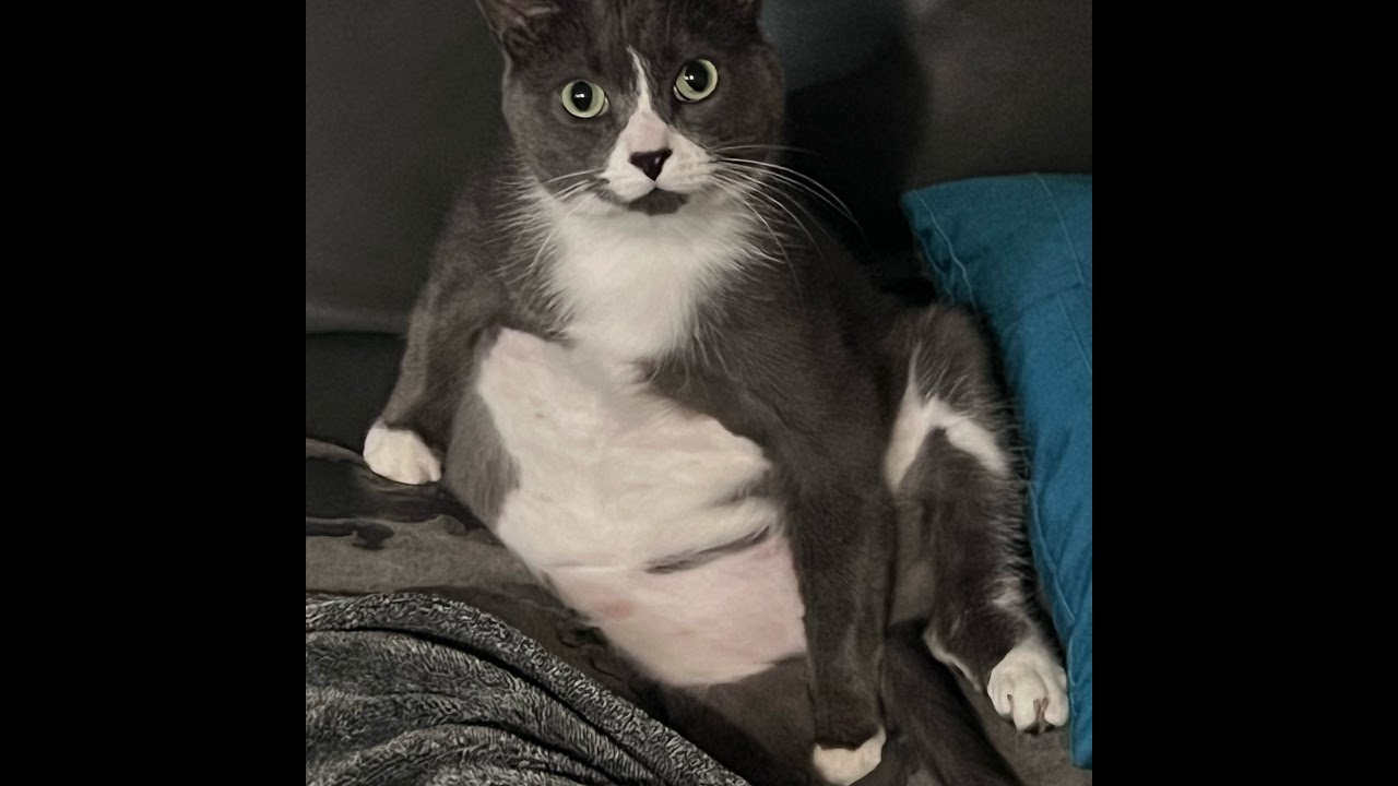 Diffusion en direct de Thomz_Live - YouTube