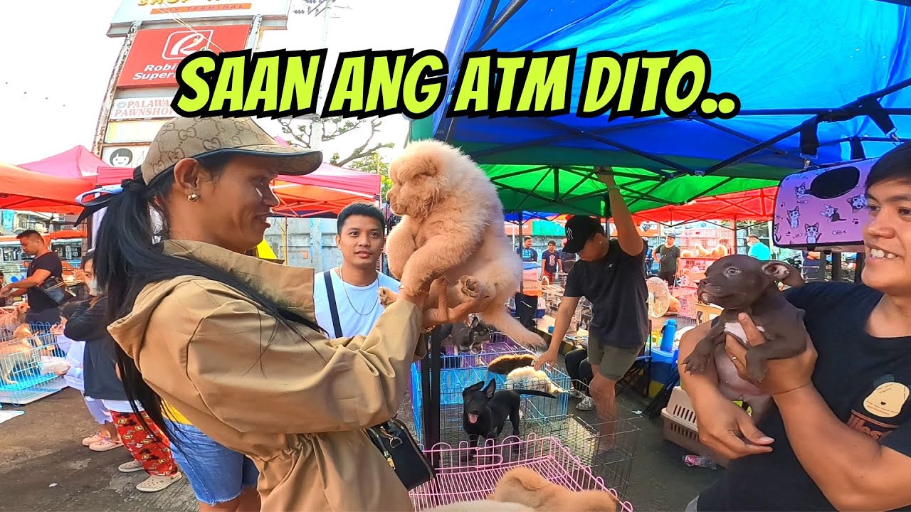 ISANG TINGIN PALANG NAGUSTUHAN AGAD.. - YouTube