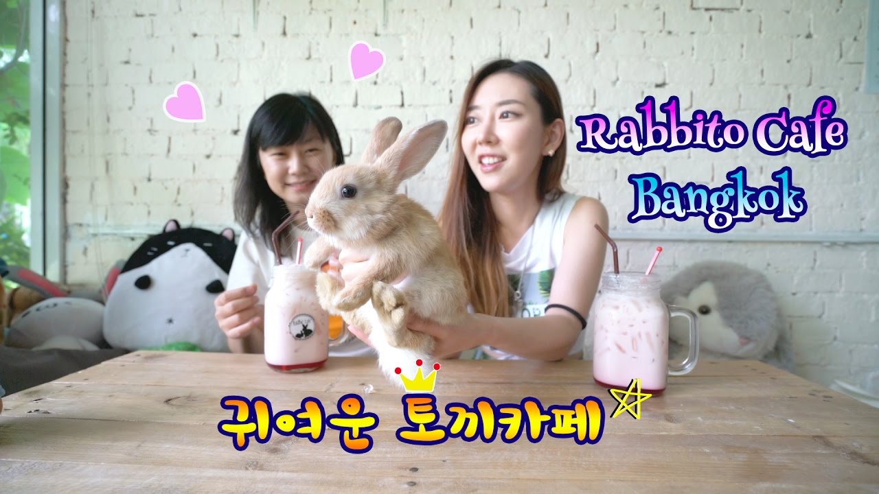 Ep.14 #Thailand 아리키친과 토끼카페에서 놀기 / Rabbito Cafe Bangkok - YouTube