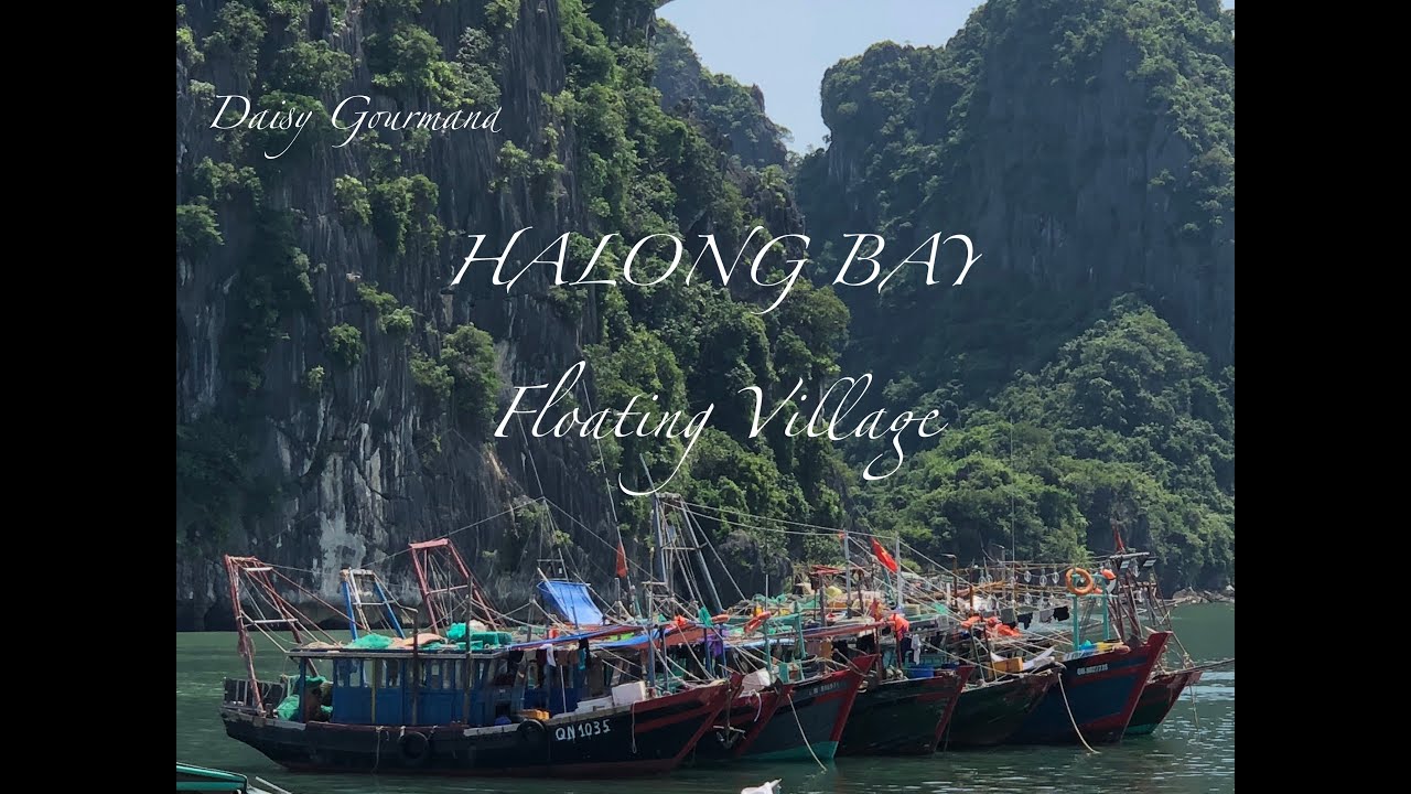 HALONG BAY 🌿 SUPRISING FLOATING VILLAGE Real Incredible Life Vietnam 🌿 ...