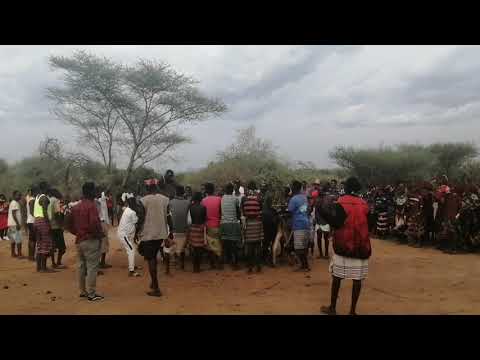 Hammer Tribe Ethiopia Bull Jumping Ceremony