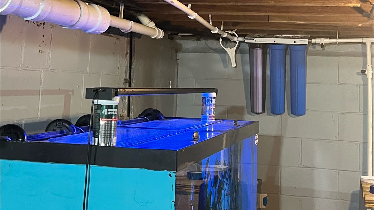 Auto Water Change Fish Room / Discus Breeding Room Setup Part 1 - YouTube