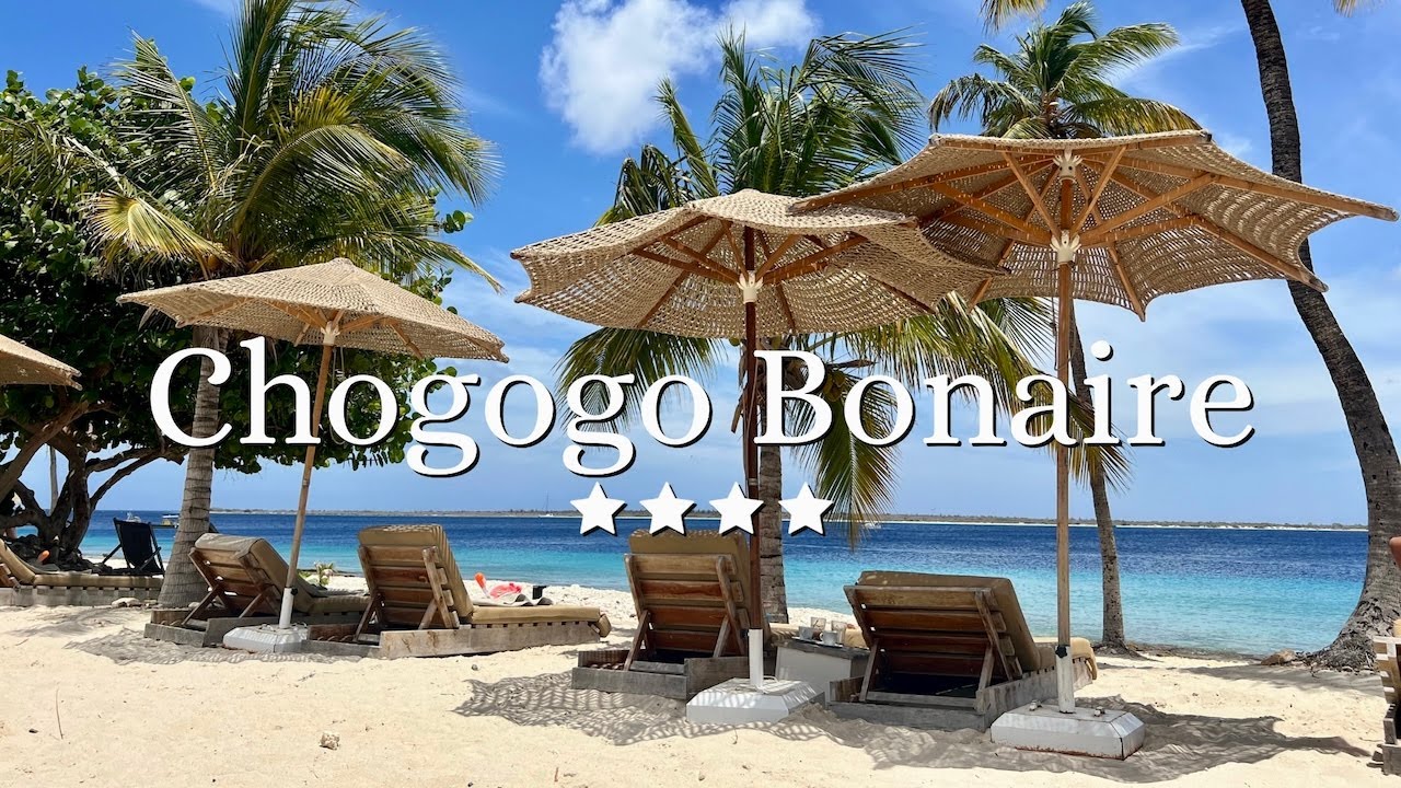 Chogogo Dive & Beach Resort, Resort Overview - Bonaire - YouTube