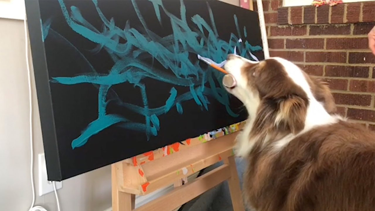 TALENTED PAINTING DOG (Animal With Insane Talents!) - YouTube