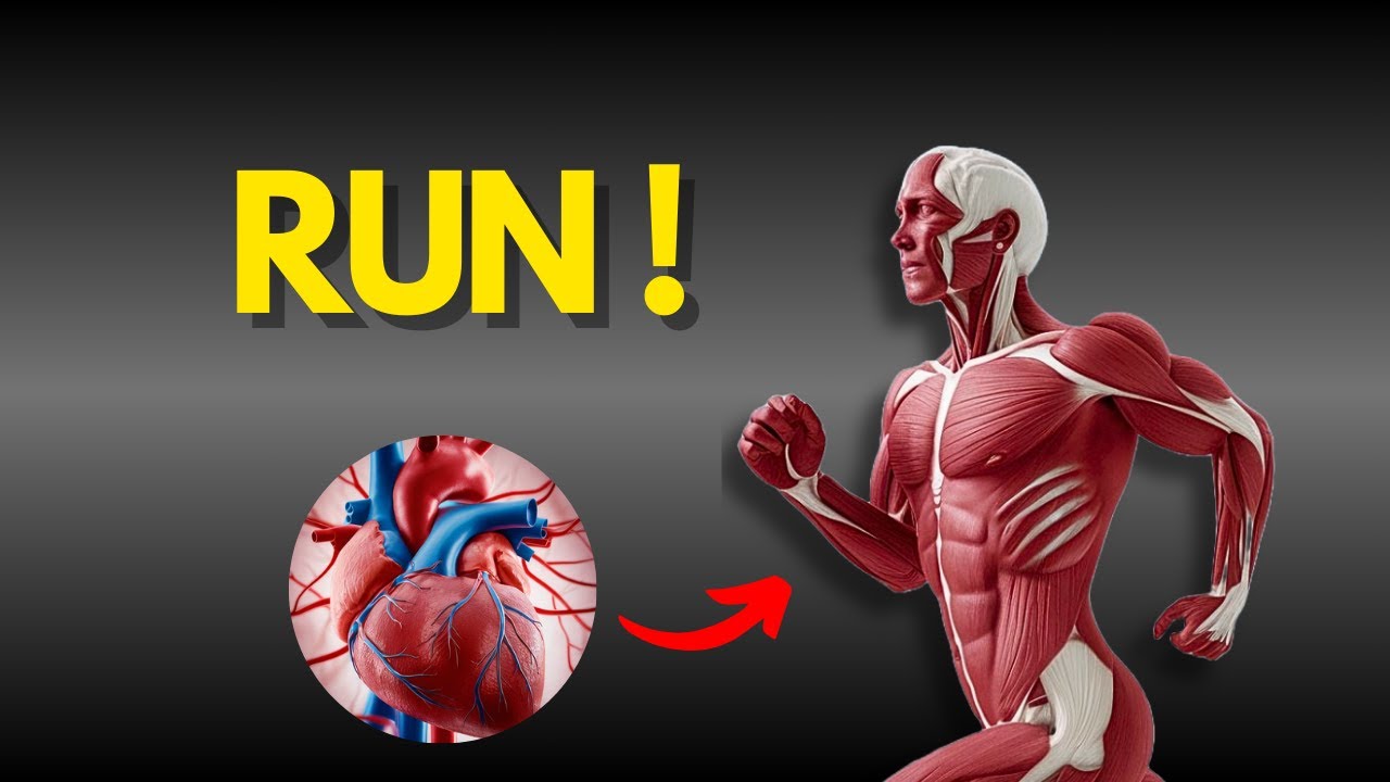 Incredible Benefits of Running & Fun Facts I Bet You DIDN'T KNOW ...