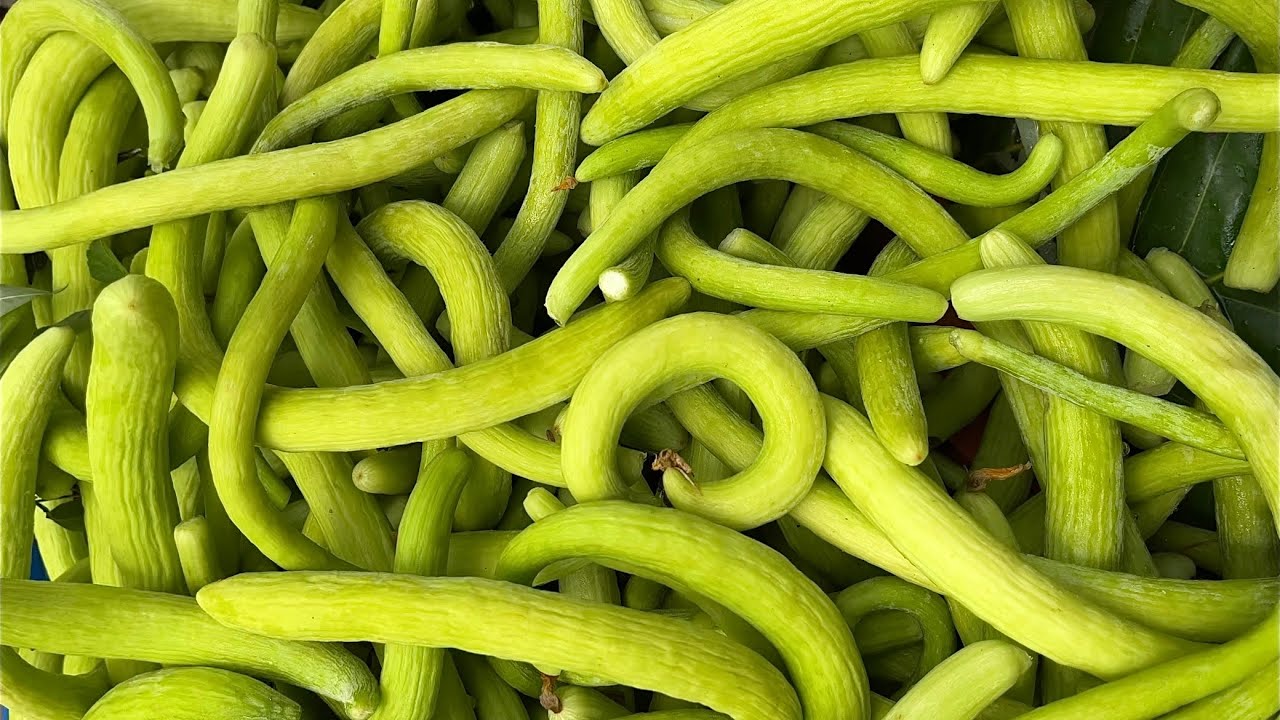 Fresh Cucumber In Hazaribagh | Taja Kakari Hazaribagh Mein - YouTube