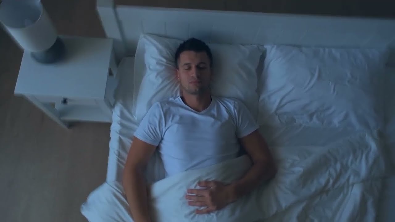 Top 3 BEST Humidifiers for Large Rooms in 2024 - YouTube