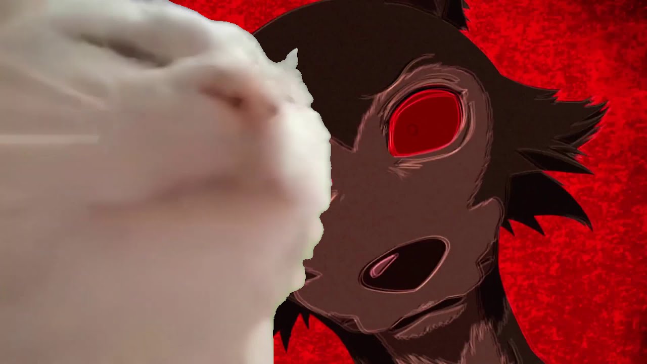 Cat vibing to the New Beastars opening - YouTube