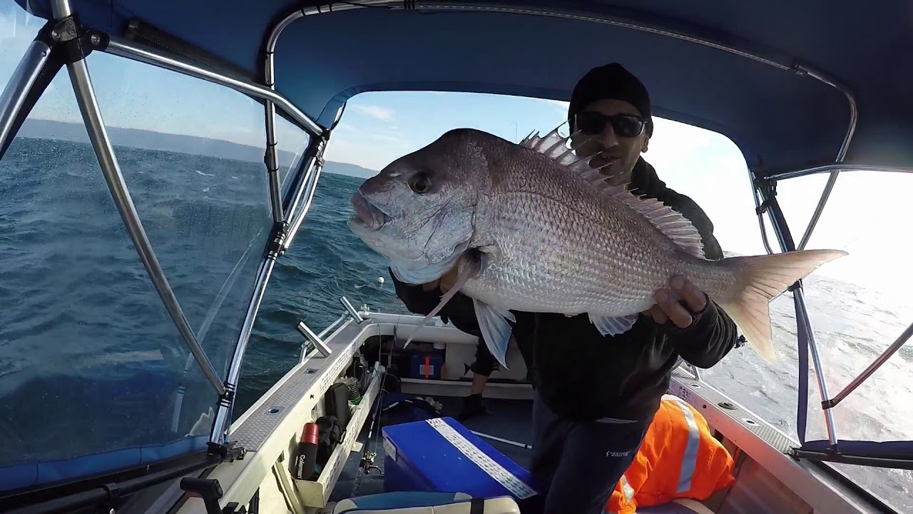 Fishing Sydney N.S.W - YouTube