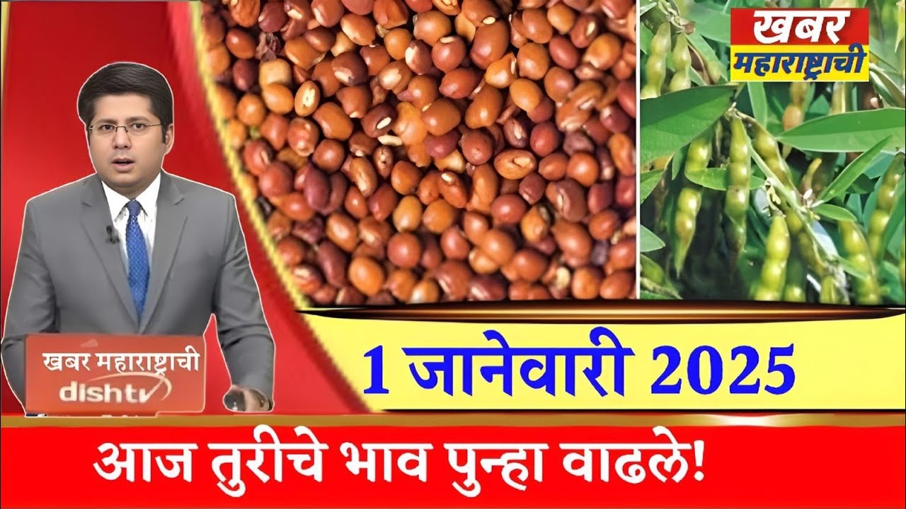 तूर भावात प्रचंड मोठी तेजी| आजचे तूर बाजार भाव|turiche bhav today live ...
