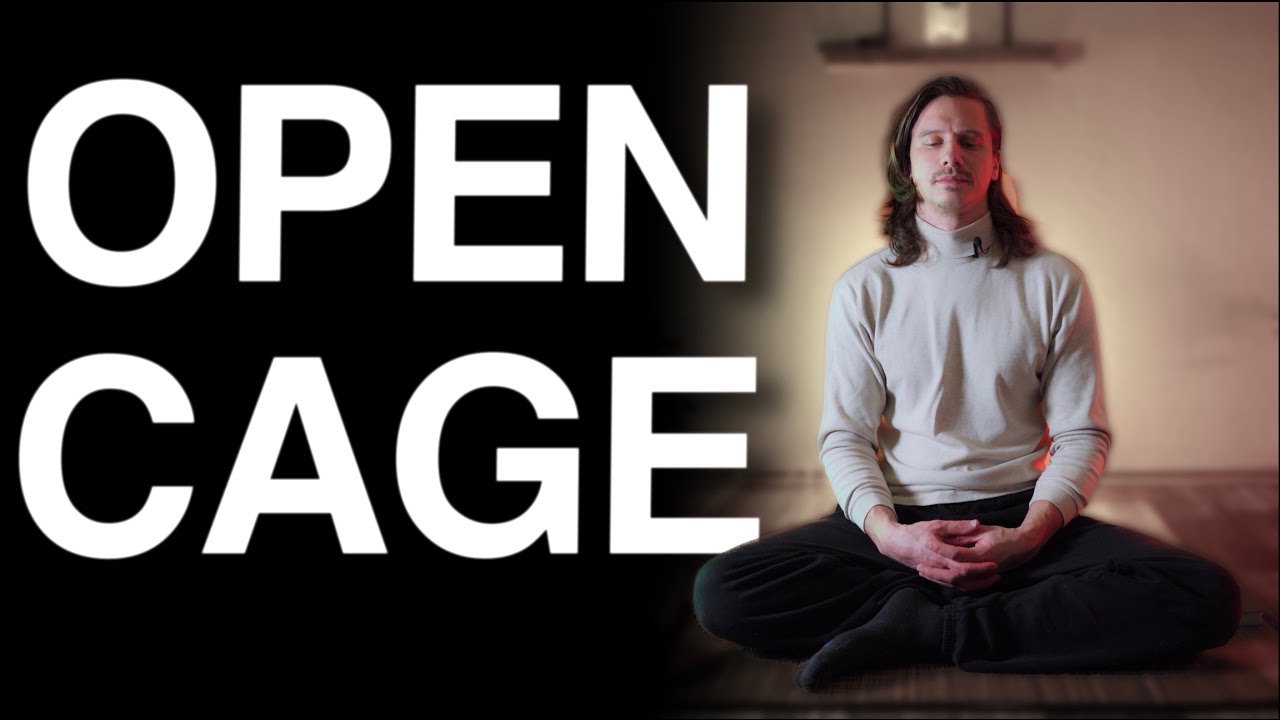 Daily Guided Meditation Practice - Open Cage - YouTube