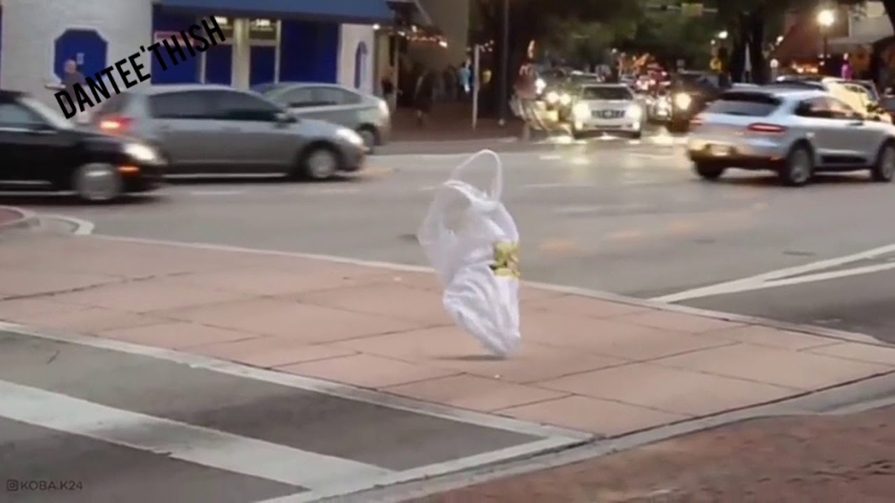 i didn't see any walking bag memes yet so I'd like to start it off ...