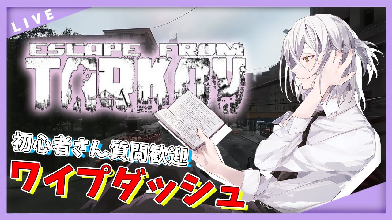 【EFT】Lv11～ 質問歓迎ワイプダッシュPart2【新人VTuber】 - YouTube