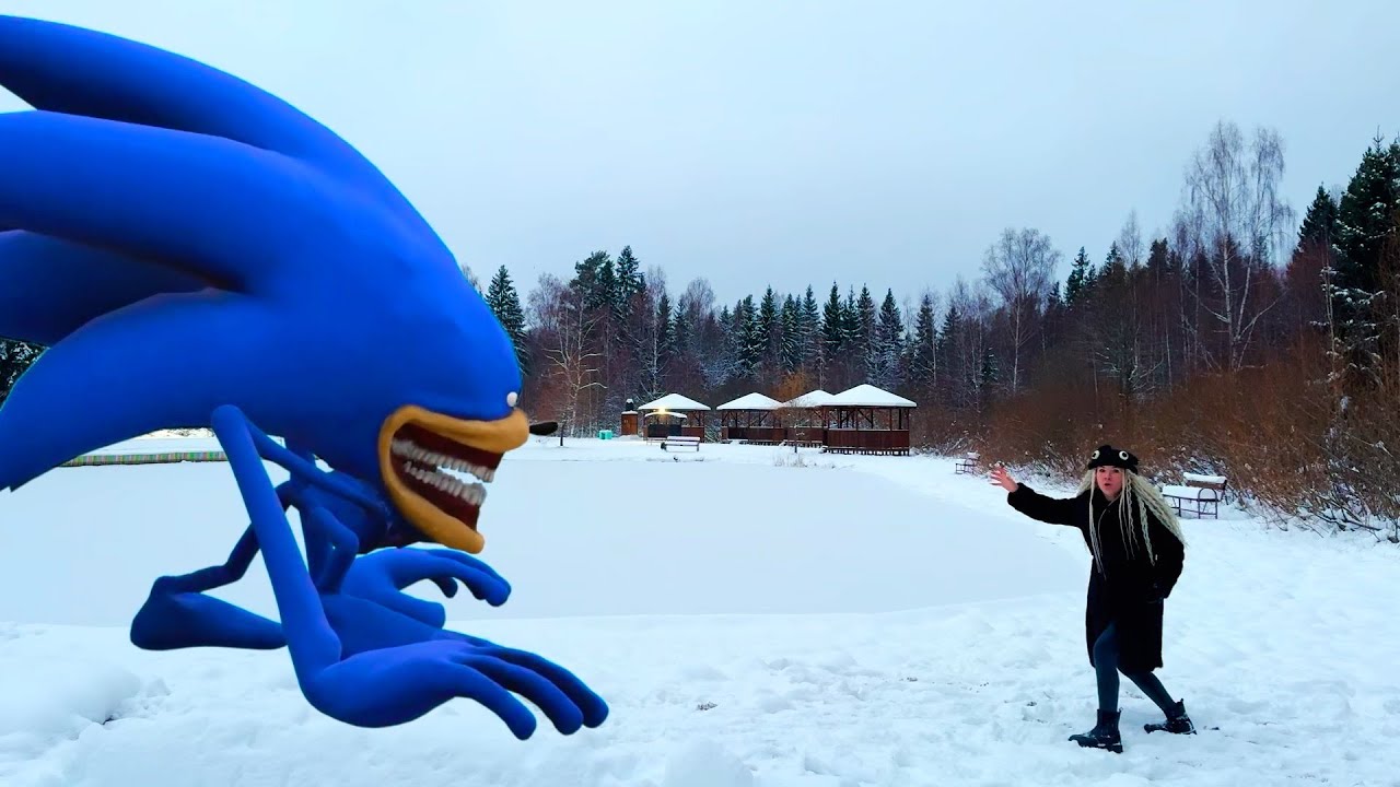 Shin Sonic En La Vida Real - YouTube