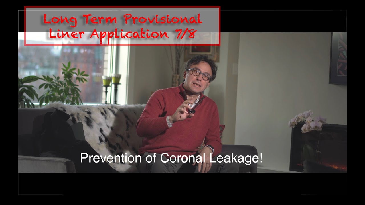 Long Term Access Provisionals for Endo Access: BC Liner Applications ...