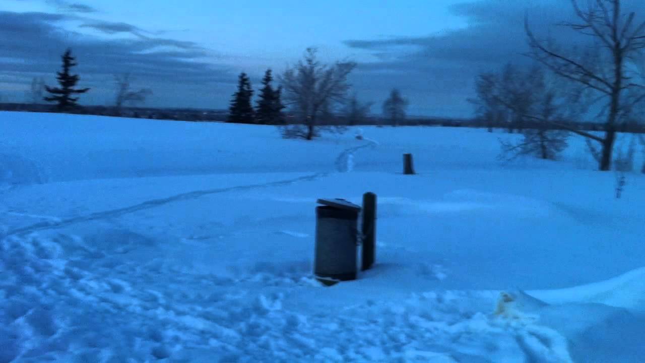 Edmonton's Hidden Gem. Provincial Park- Strathcona Science Park. 6 ...