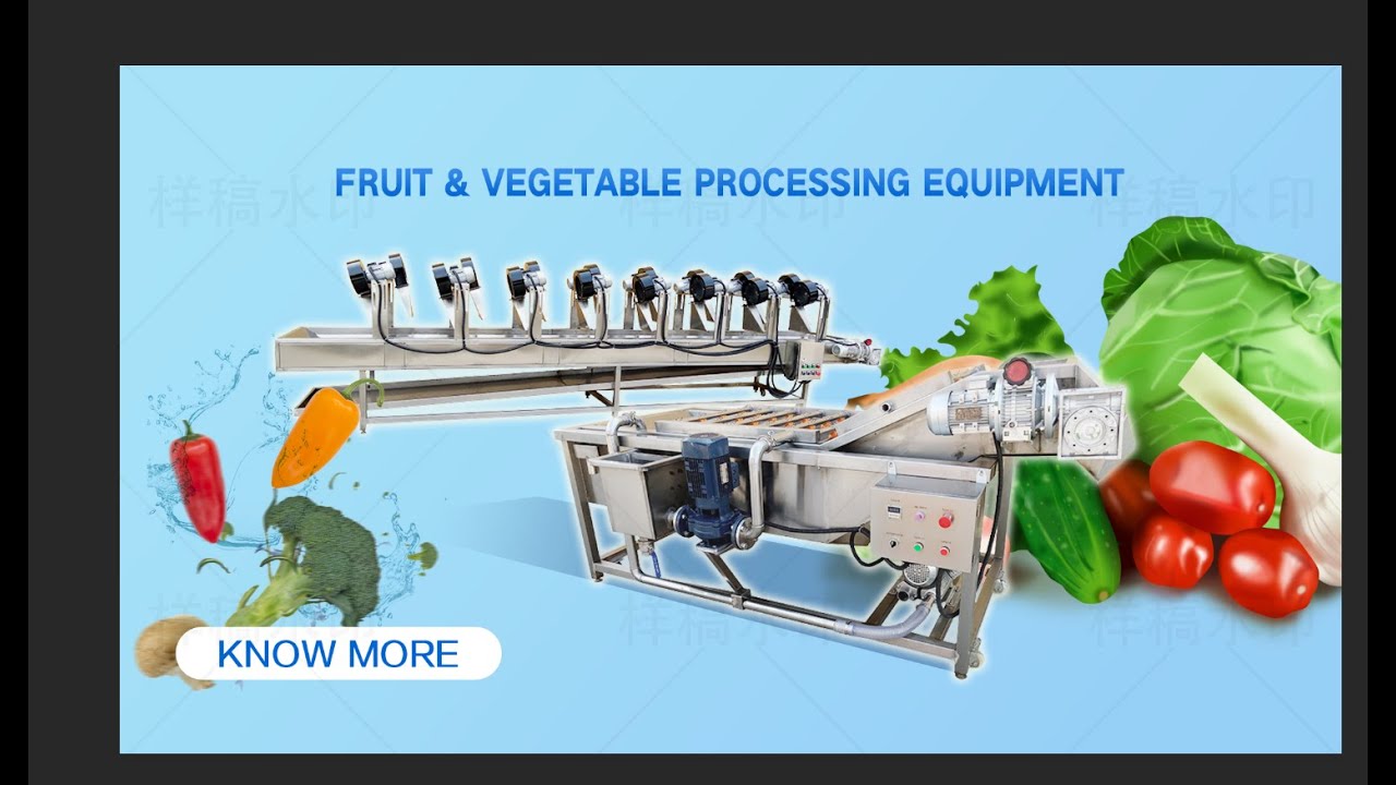 Fruit and vegetable washing drying machine Bean sprouts cleaning ...