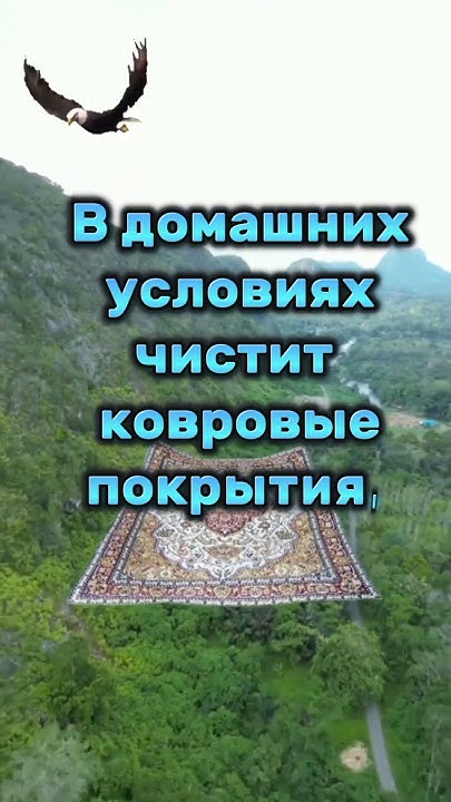 Шампунь для ковров ЭРСАГ - YouTube