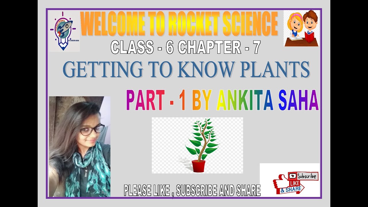 Class - 6 Science Chapter - 7 ( Getting to know plants ) Part - 1 - YouTube