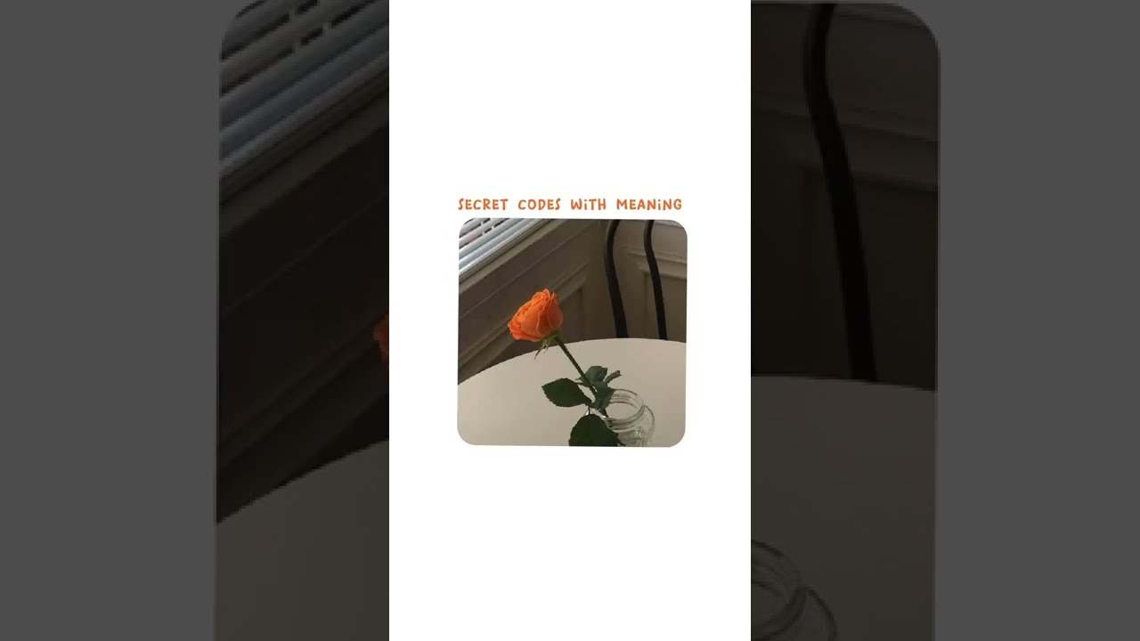 SECRET CODES WiTH MEANiNG - YouTube