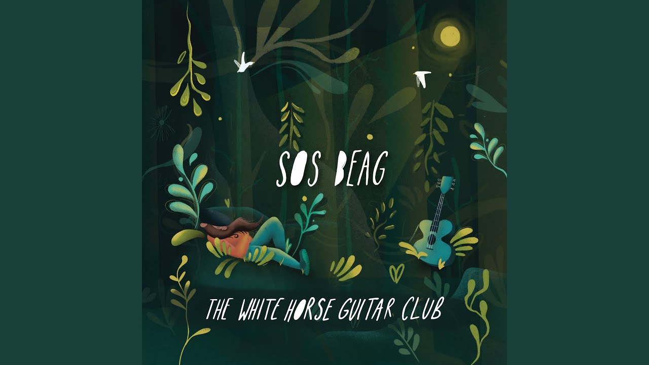 The White Horse Guitar Club - I Recall a Gypsy Woman Chords - Chordify