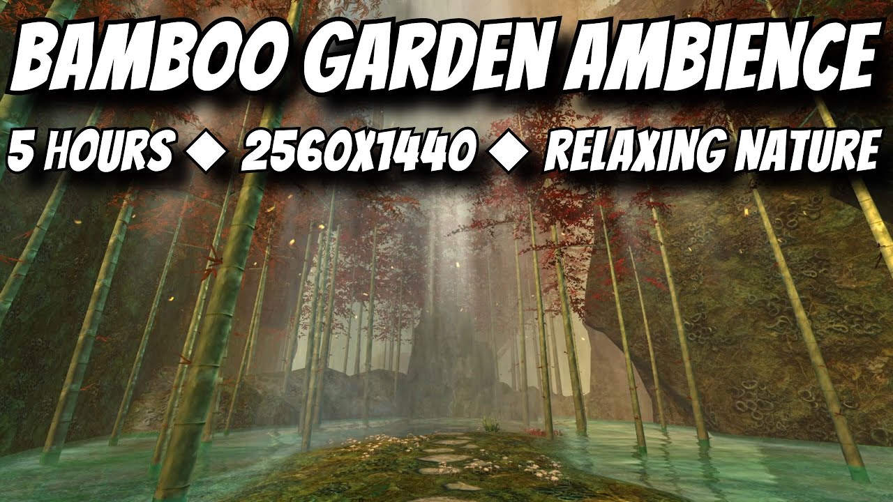 Bamboo Garden Ambience | Guild Wars 2 The Grove | Waterfall, Birds ...