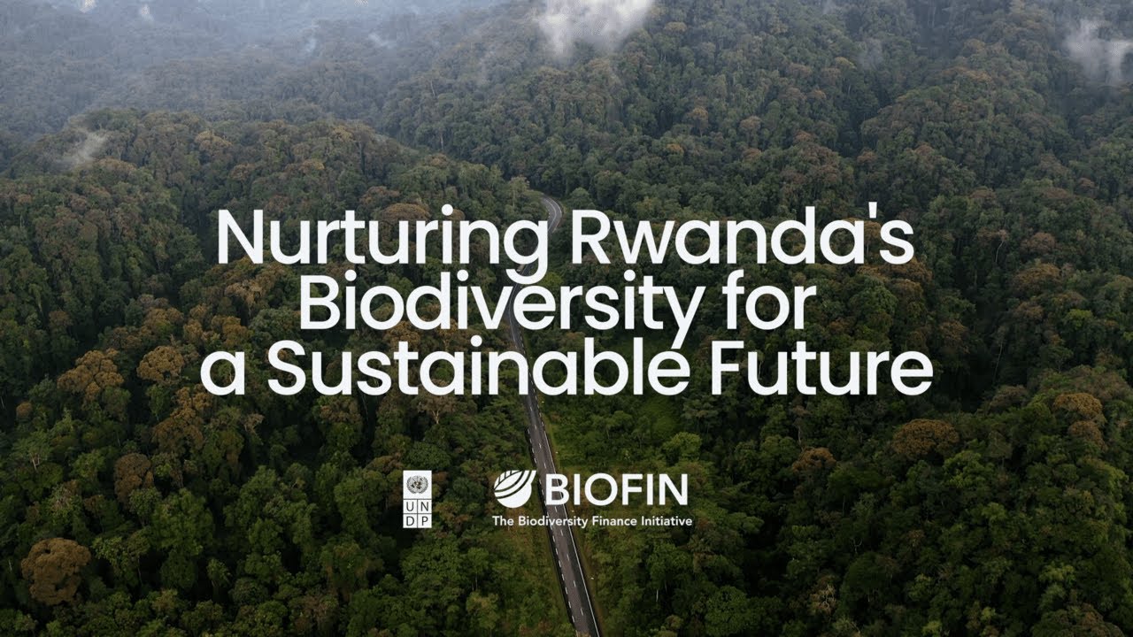 Nurturing Biodiversity: Rwanda's Efforts to Preserve Its Biodiversity ...