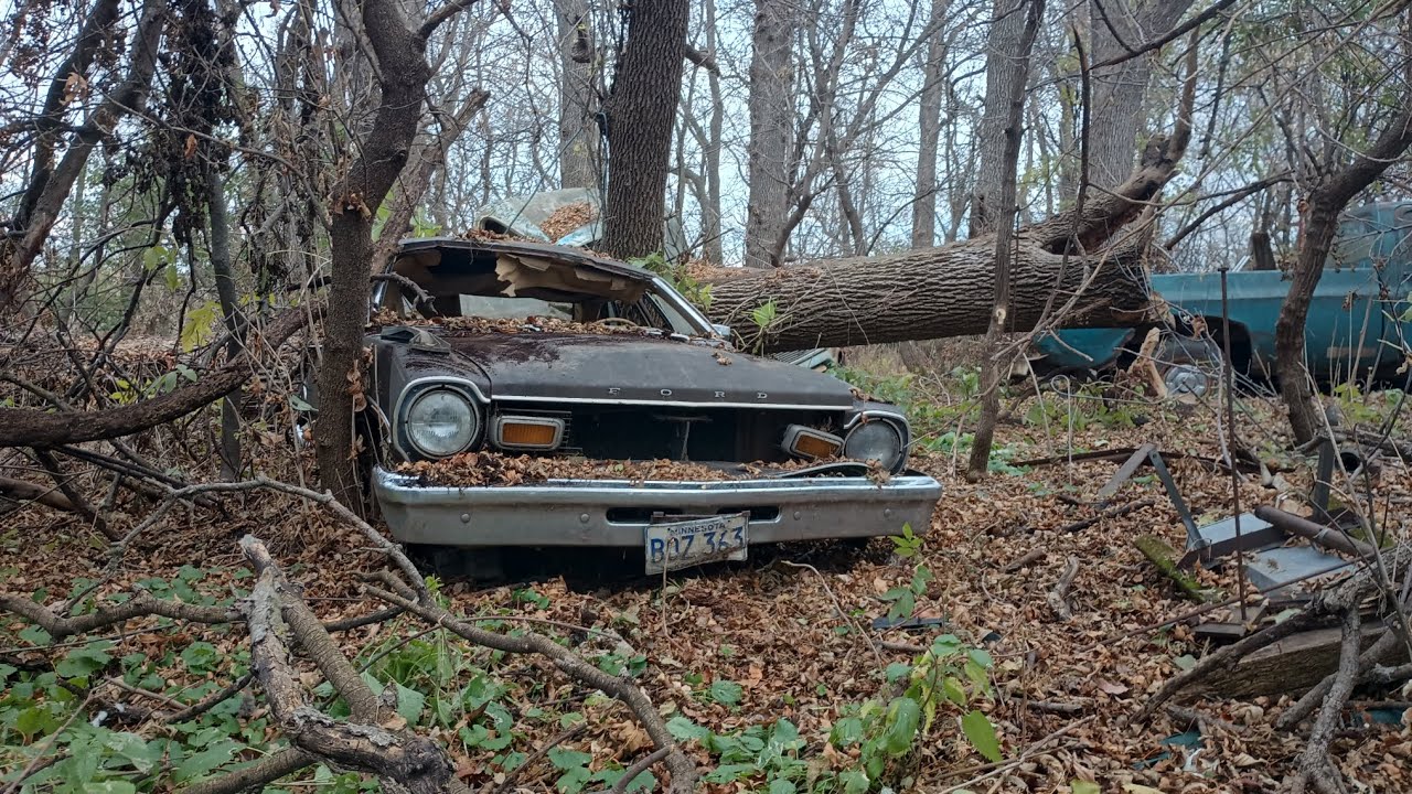MN Rusty tree line find a 1969 Ford Maverick - YouTube