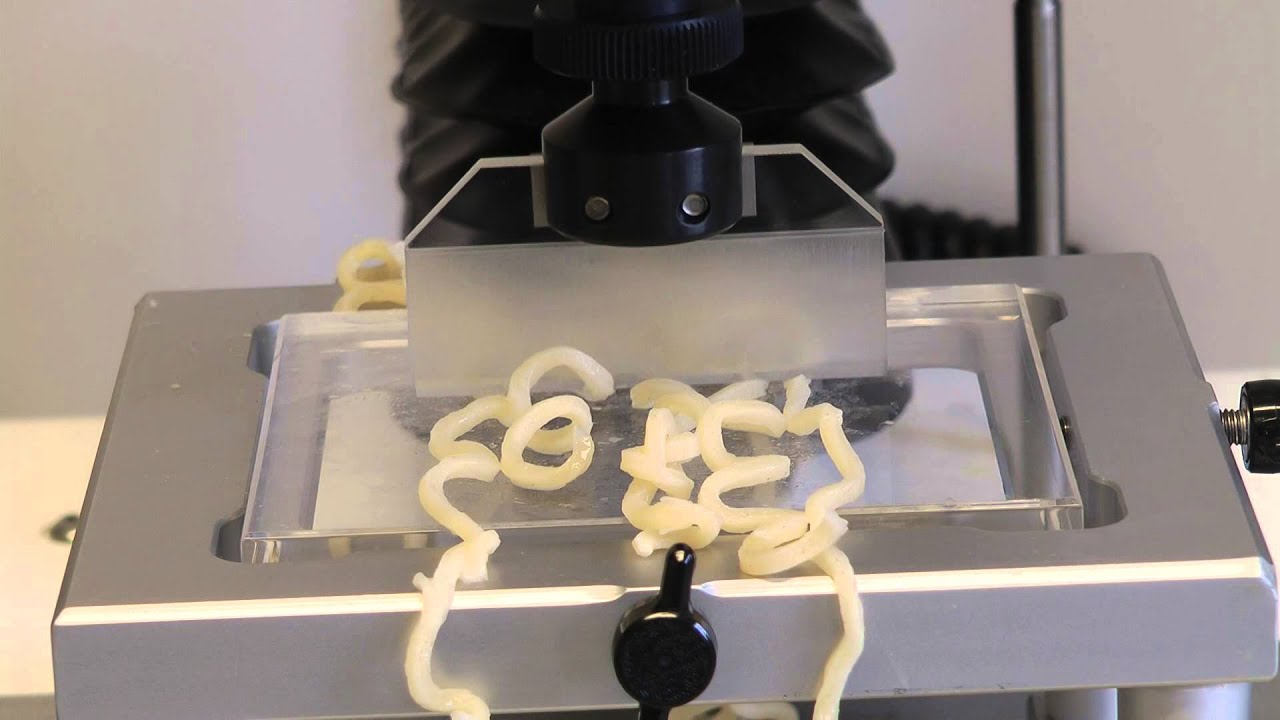 noodle cut - SMS Texture Analyzer TA.XT Plus - YouTube